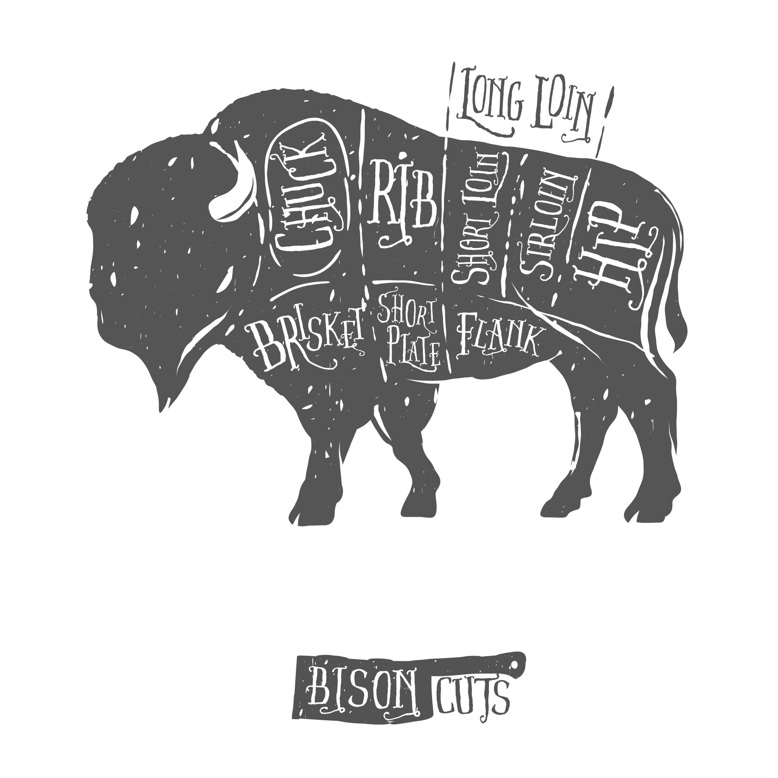 Timber Creek Bison